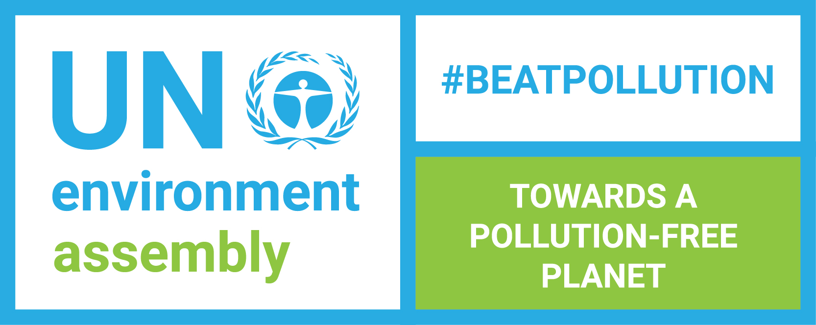 UN Environment Assembly - I-CEED